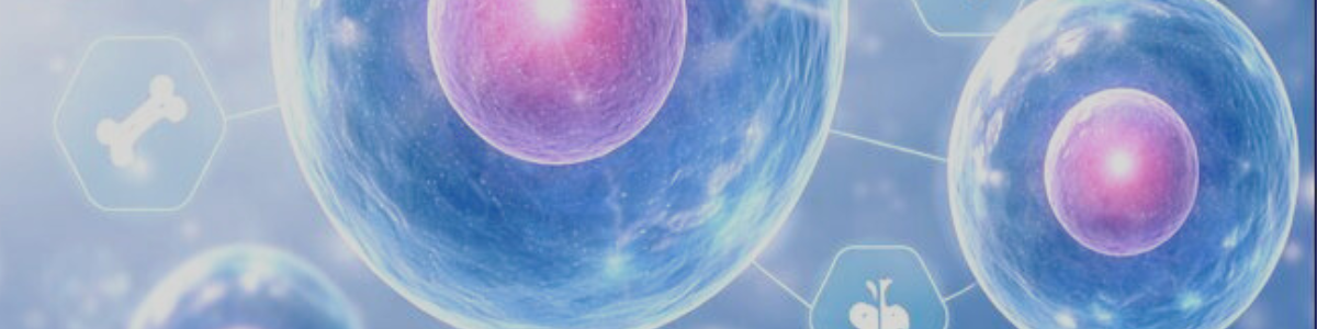 Stem Cell Therapy | MedIndiaTours